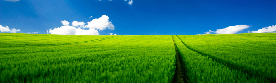 Rain Bird DV | 3-Valve Manifold Kit with Orbit® 57865 (HRC-990) Battery ...