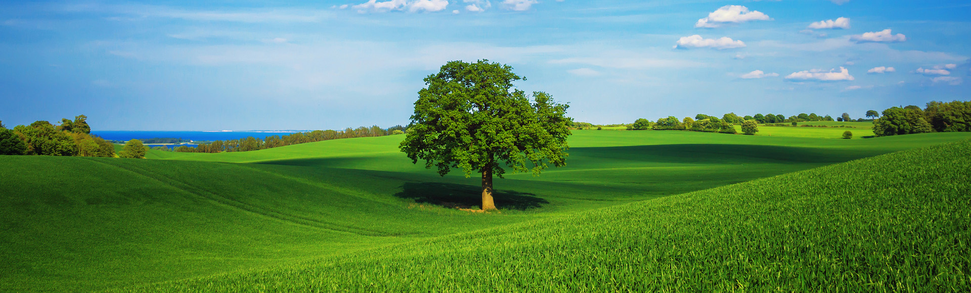 Hydro-Rain® HRC-400 Smart Wi-Fi Controllers - Irrigation Depot